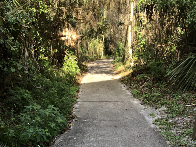brevard county enchanted forest sanctuary 2