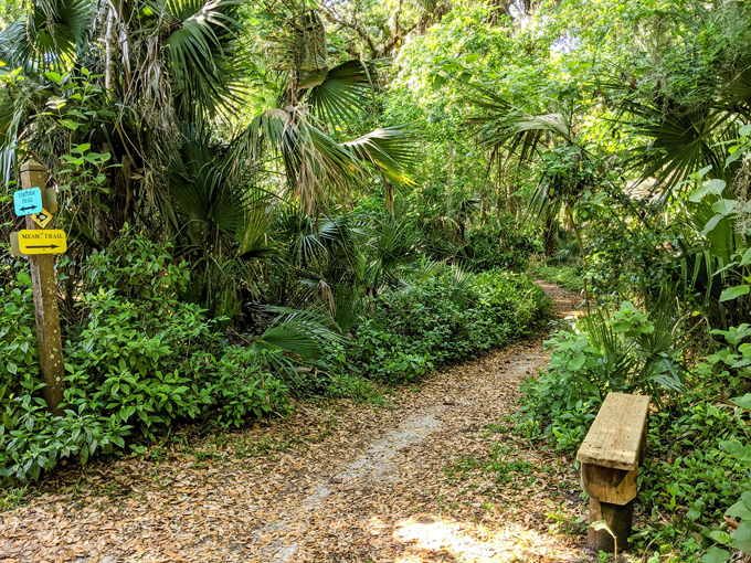 brevard county enchanted forest sanctuary 3