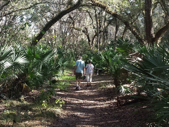 brevard county enchanted forest sanctuary 7