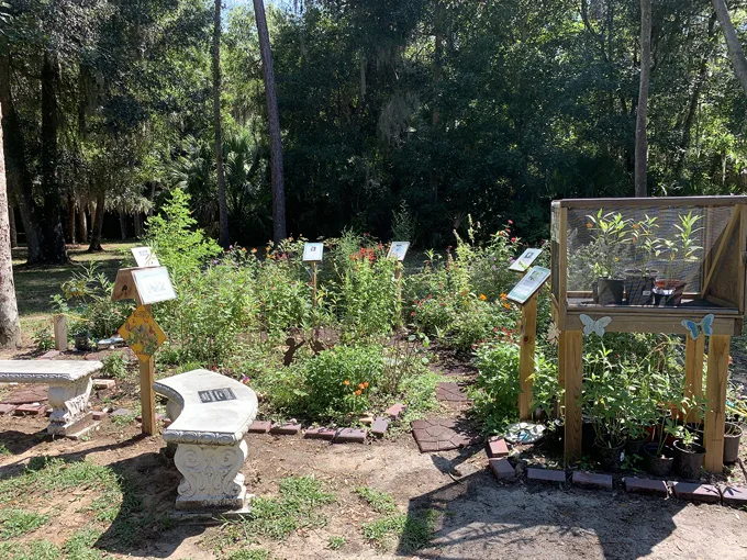 butterfly garden at all childrens park 1
