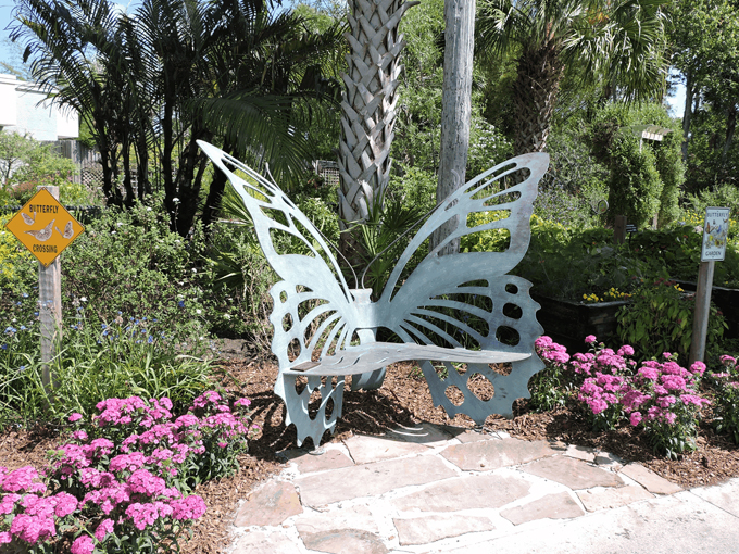 butterfly garden at the florida botanical gardens 1