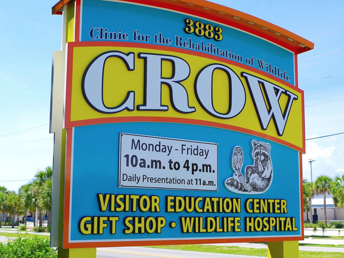 crow clinic 8