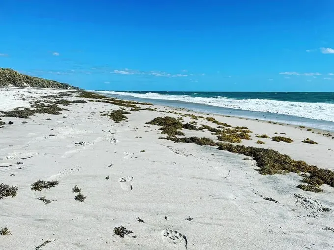 canaveral national seashore 2
