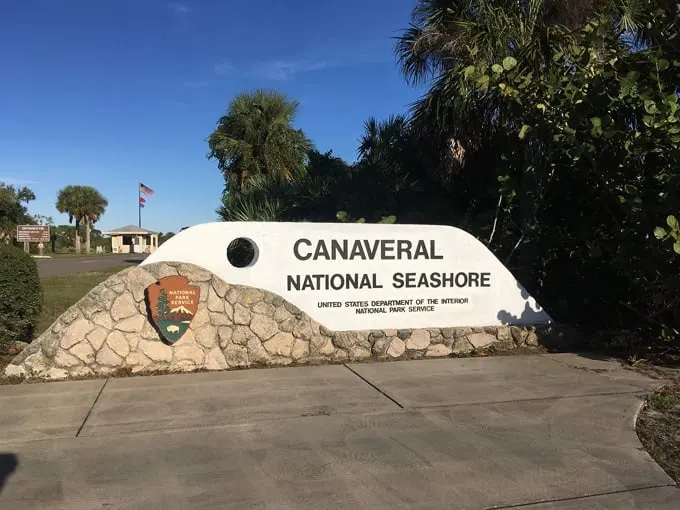 canaveral national seashore 5