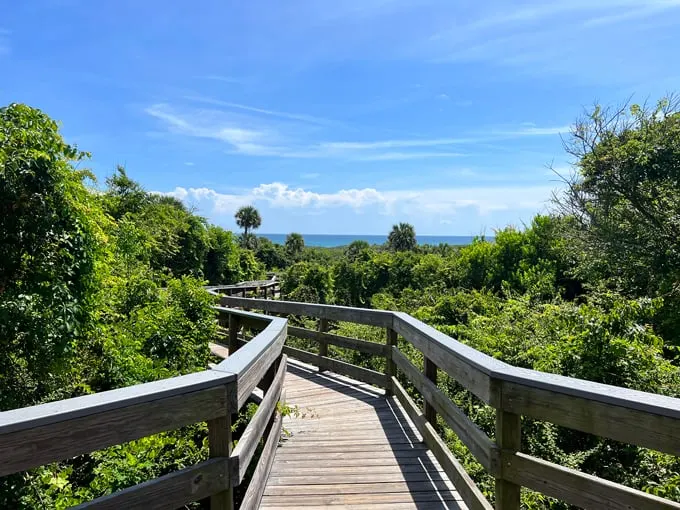 canaveral national seashore 6
