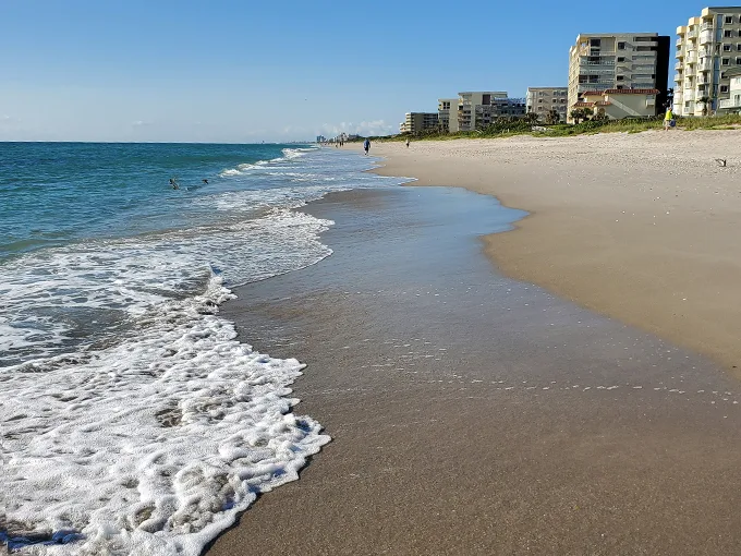 canova beach park 1