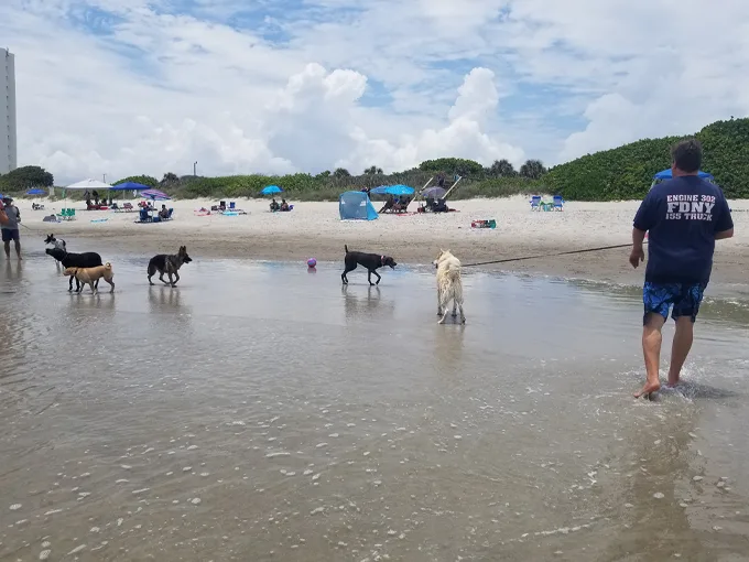 canova beach park 3