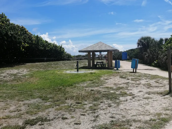 canova beach park 5
