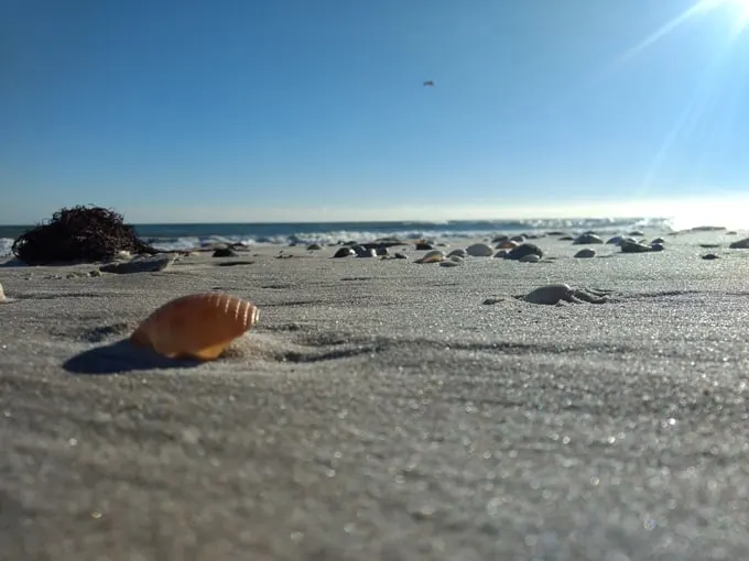 canova beach park 9