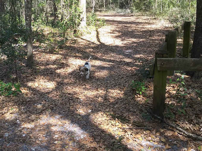 carolyn meeker dog park nature trail 1