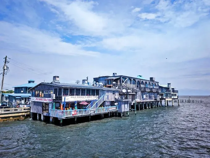cedar key 1