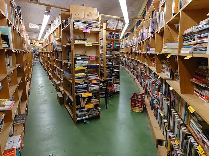 chamblin bookmine 2