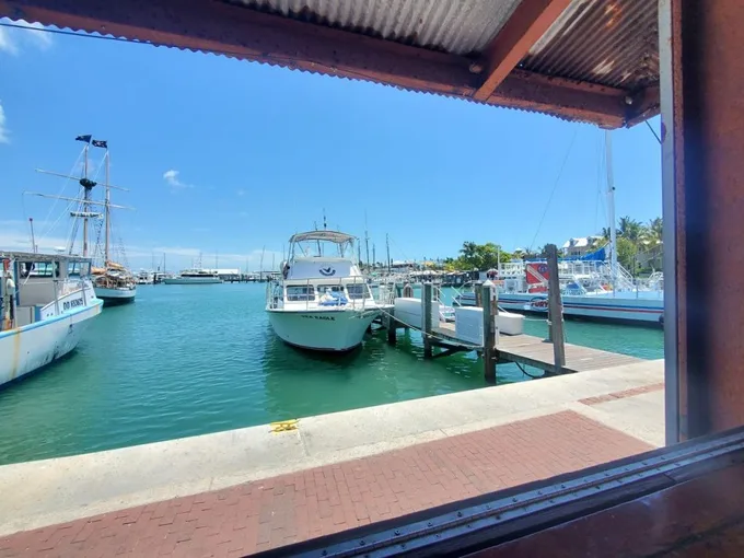 conch republic seafood company 4