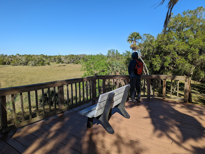 crystal river archaeological state park 7