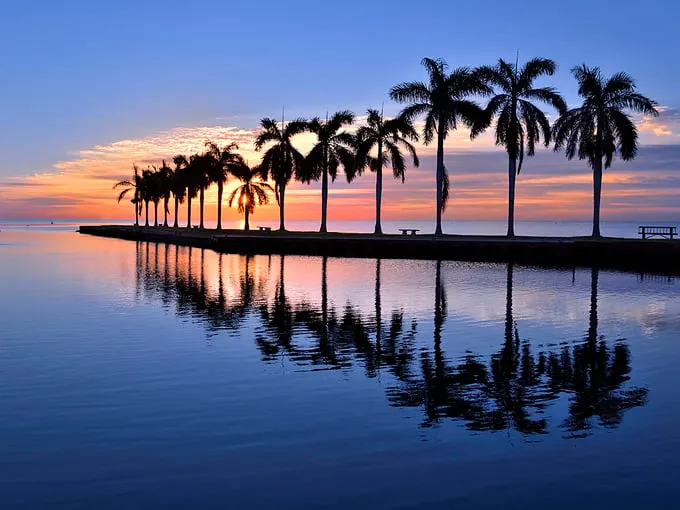 deering estate 8