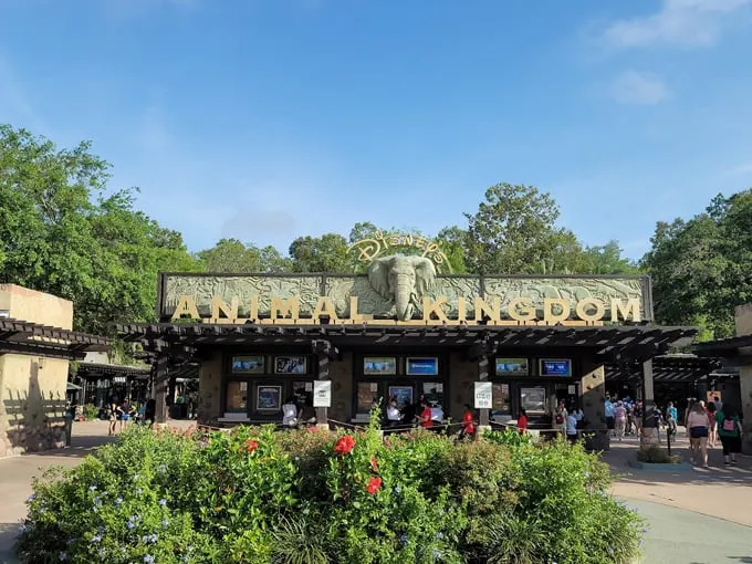 disneys animal kingdom theme park 1