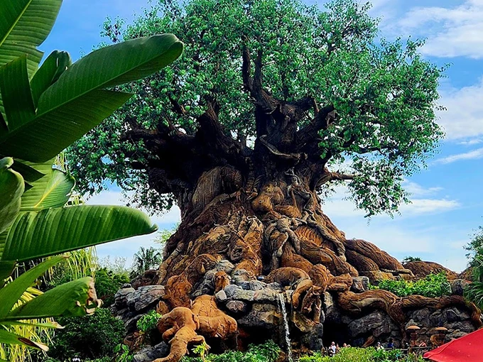 disneys animal kingdom theme park 3