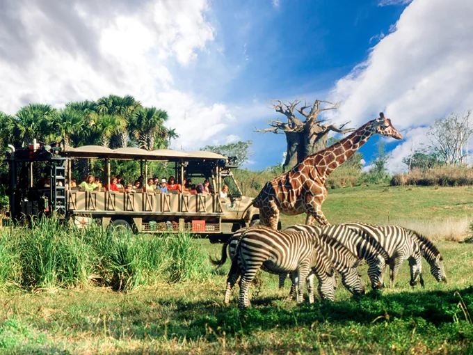 disneys animal kingdom theme park 4