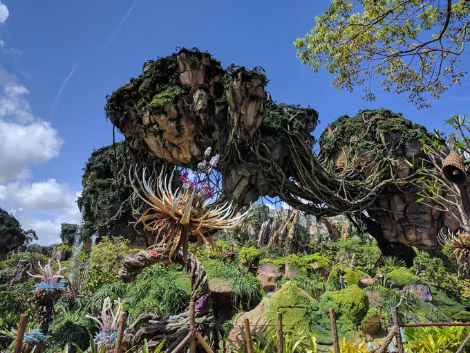 disneys animal kingdom theme park 5