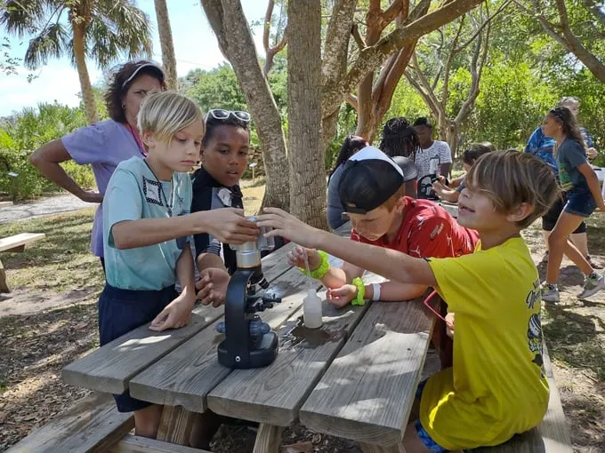 environmental learning center elc 8