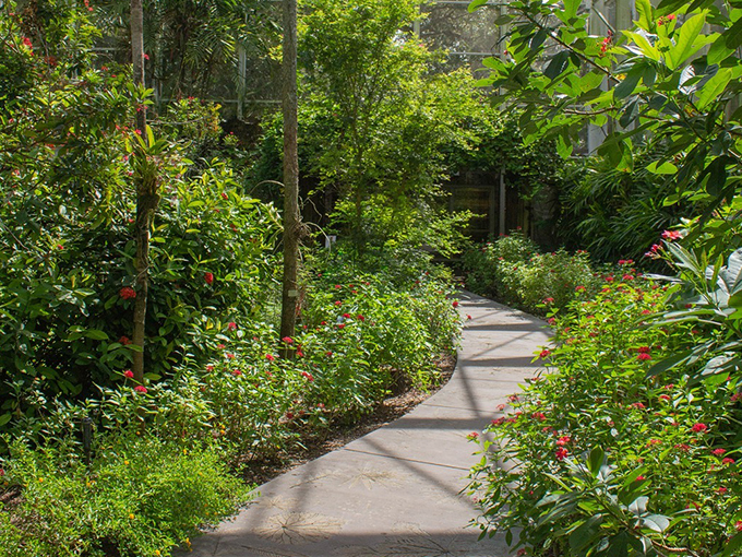 fairchild tropical botanic garden 1