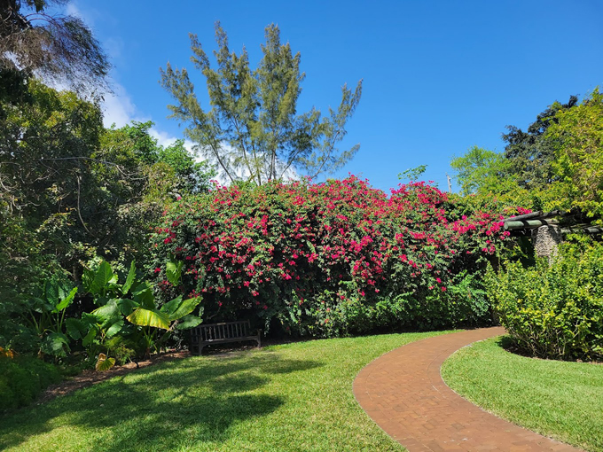 fairchild tropical botanic garden 2