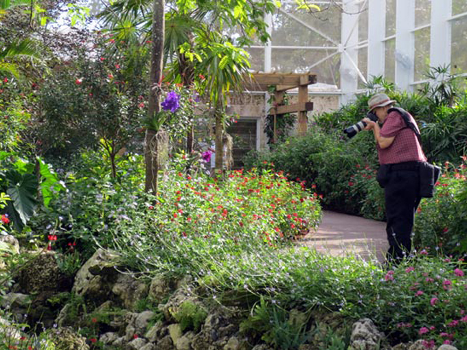 fairchild tropical botanic garden 5