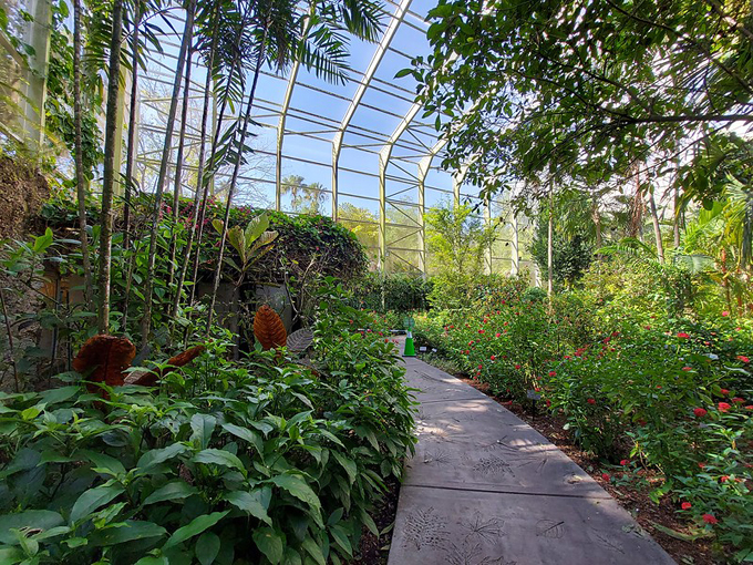 fairchild tropical botanic garden 6