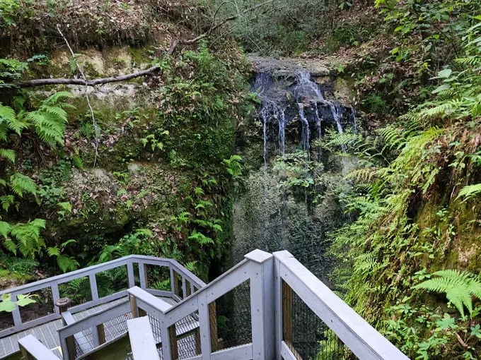 falling waters state park 1