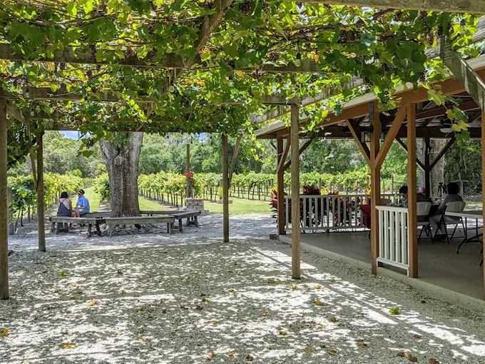 fiorelli winery 1