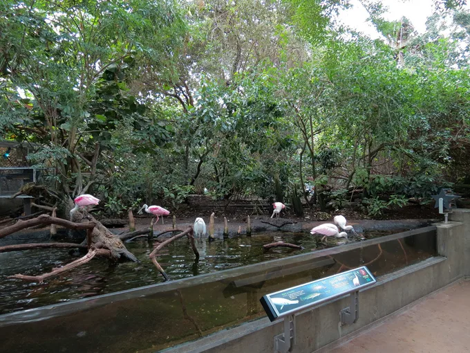 florida aquarium 3