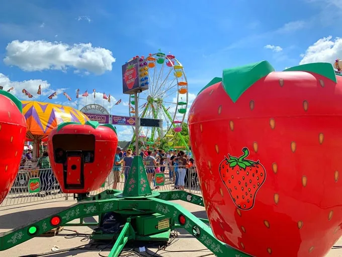 florida strawberry festival 7