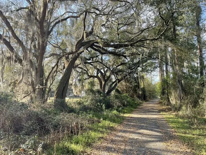 four freedoms trail 9