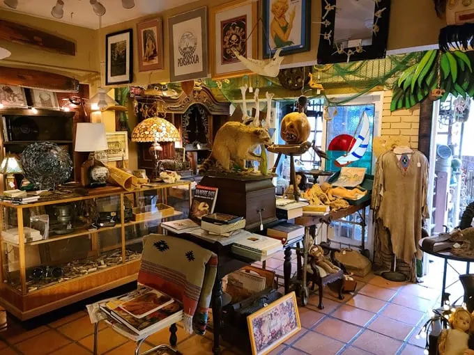 frank mirandas oddities antiques 2