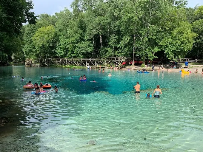 gilchrist blue springs state park high springs 2