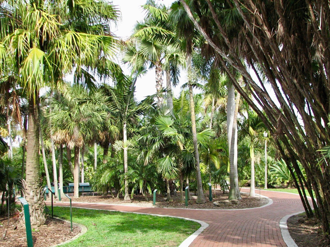gizella kopsick palm arboretum 5