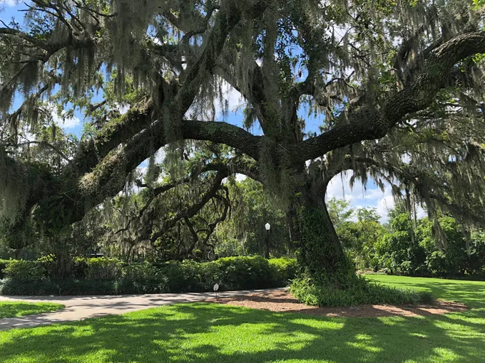 harry p. leu gardens 1