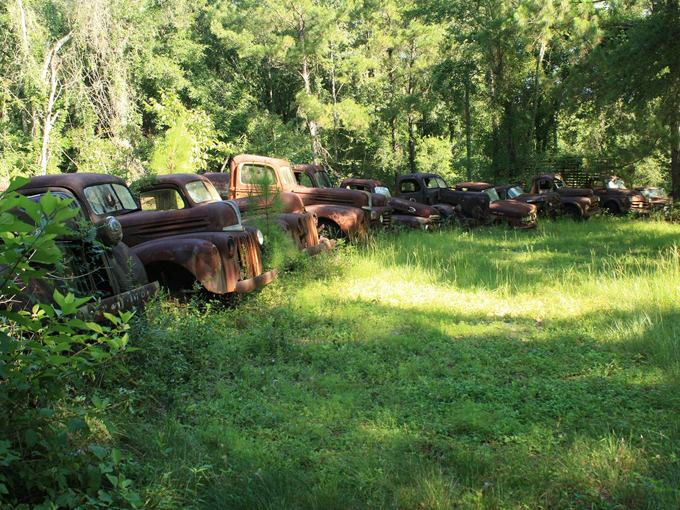 harveys ford truck collection 2
