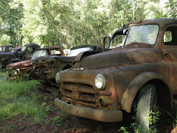 harveys ford truck collection 4