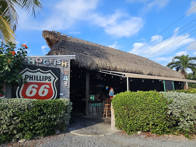hogfish bar and grill