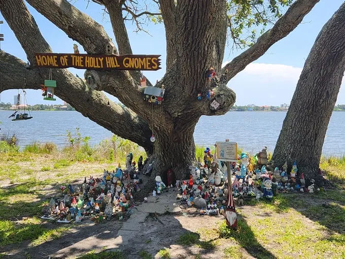 holly hill gnome tree 2