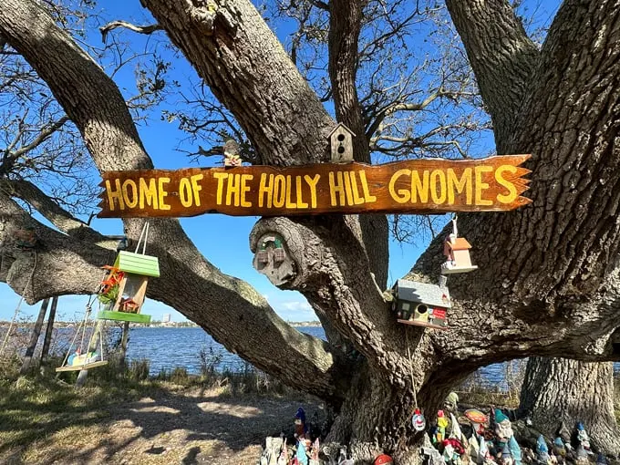 holly hill gnome tree 7