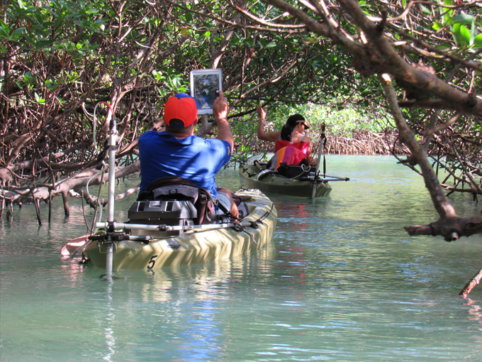 indian river lagoon 8