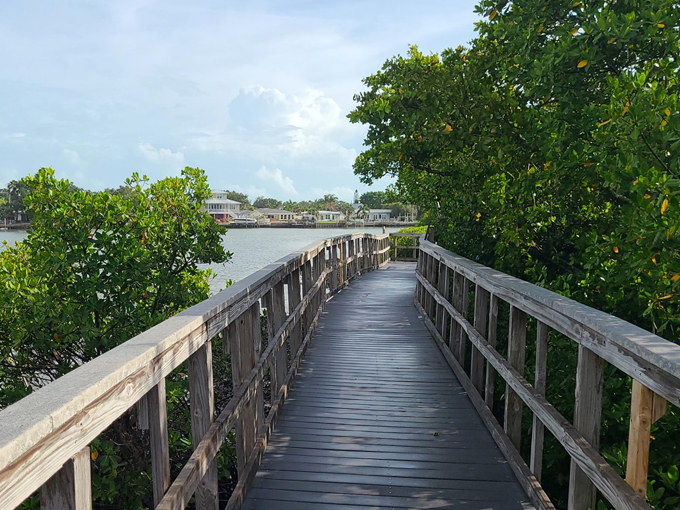 indian rocks beach nature preserve 1