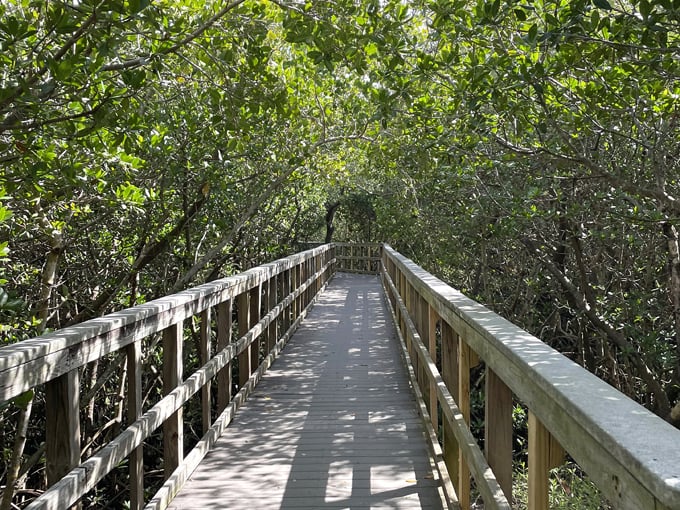 indian rocks beach nature preserve 4