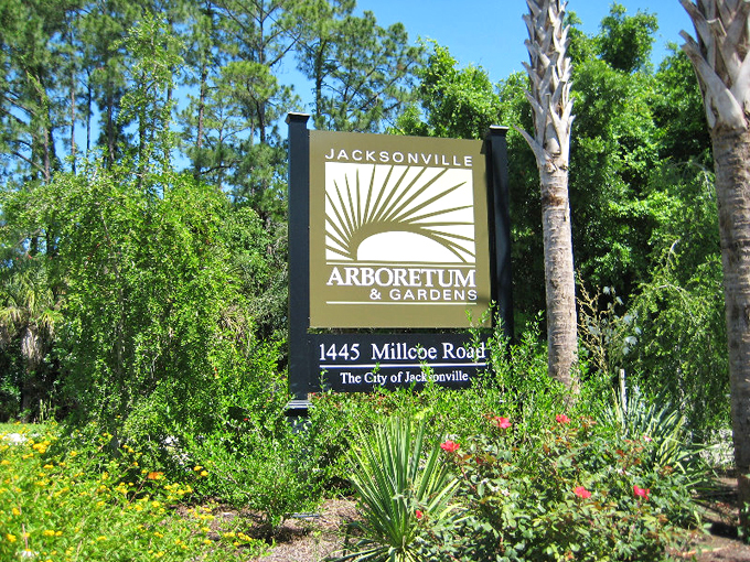 jacksonville arboretum botanical gardens 1