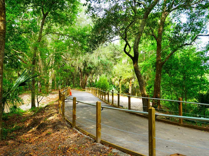 jacksonville arboretum botanical gardens 4