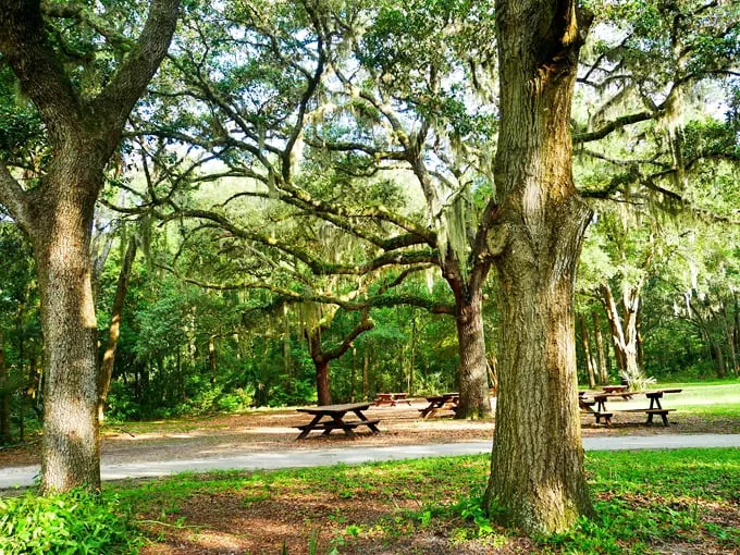 jacksonville arboretum botanical gardens 7
