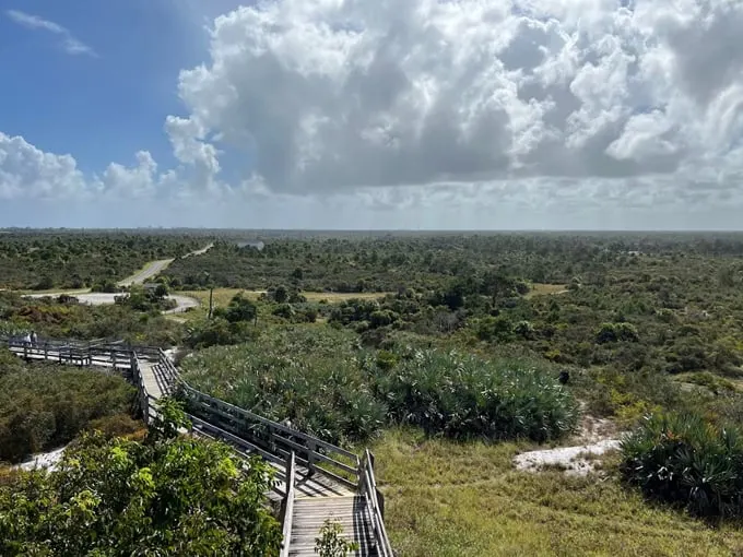 jonathan dickinson state park 1