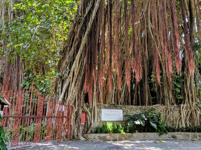 kampong botanical garden 1